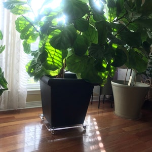 Acrylic Display Identification Cubes 1-10 Numbers Pack - Etsy