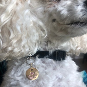 Tiny Cute Dog Tag Personalized with a Heart and Your Dog's | Etsy