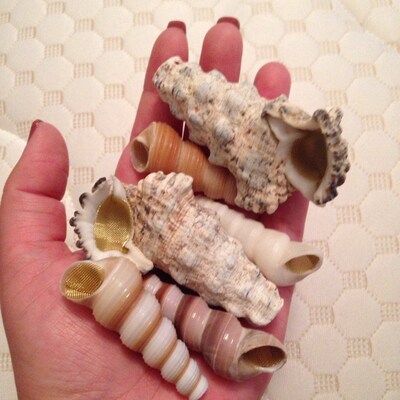 The Rockfish by Shellpipe free Pipes With Every Order Shell Pipe ...