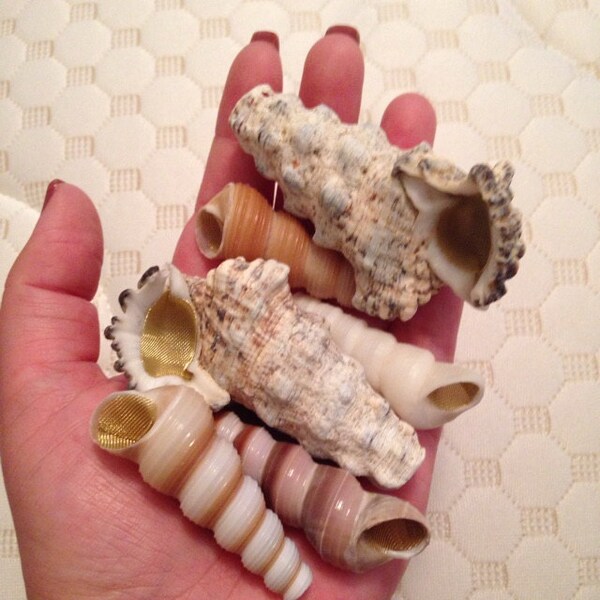 The Rockfish by Shellpipe free Pipes With Every Order Shell Pipe ...