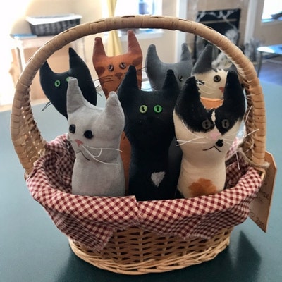 Cat Lady Starter Kit - Etsy