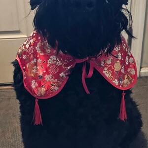 Dog Halloween Costume Inspired From White Rabbit Alice in Wonderland ...