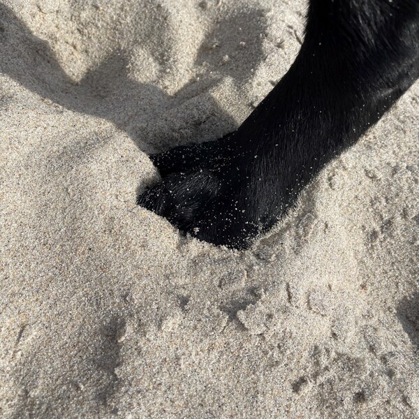 PIZZA PLANET SOCKS - Etsy