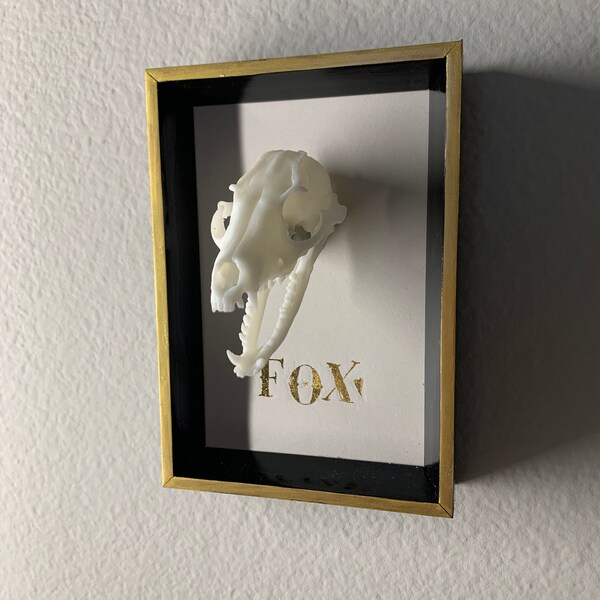 High Detail Resin Printed Fox Skull(free Shipping in the US) - Etsy