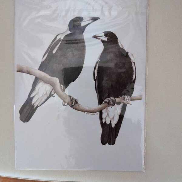 Watercolour Australian Magpie Print - Native Australian Bird Art - Etsy ...