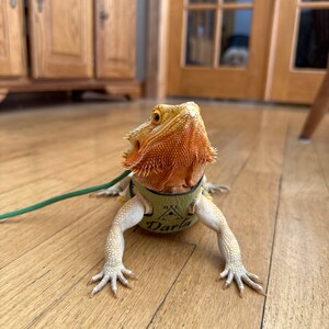 Bearded Dragon Hat, Lizard Costume, Reptile Hat, Crochet Knitted Hat ...