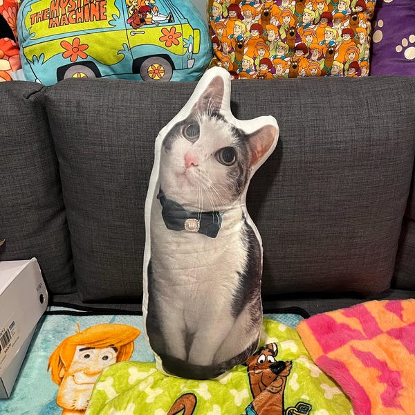Custom Cat-shaped Throw Pillow, Personalized Cat Cushion, Custom Pet ...