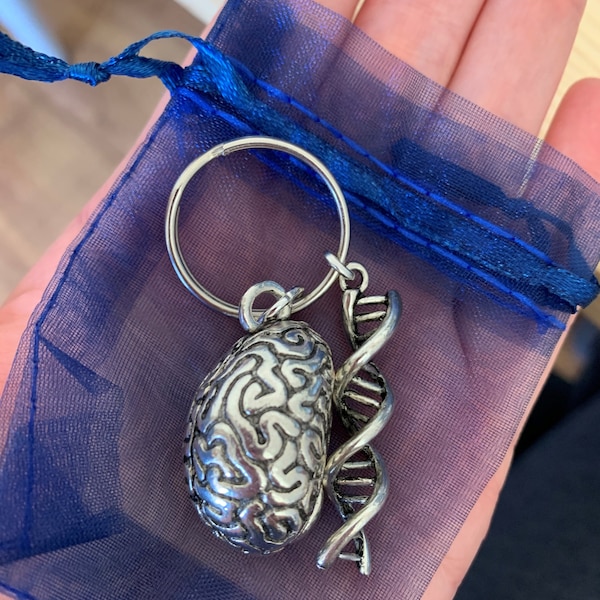3D Brain Keyring // Keychain // Neuroscience Key Ring // Biology ...