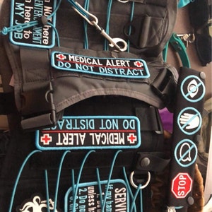 1 Patch IGNORE ME 8 Inches X 3 Inches Sew On Customizable | Etsy