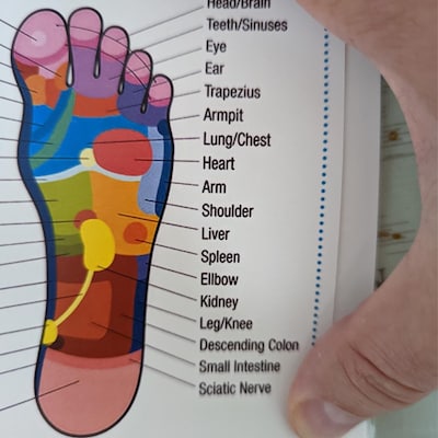 Vertebral Column Reflexology Chart Print Labelled Medial Lateral Chart ...
