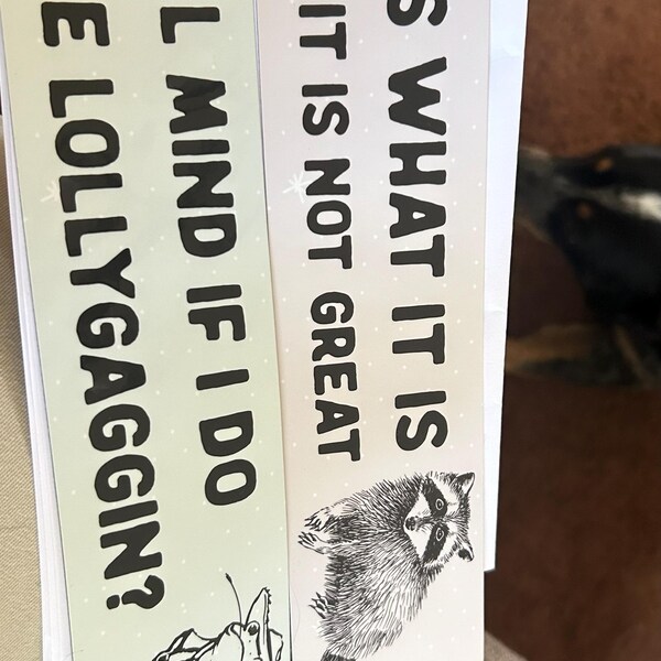 Please Be Patient, Brat Driver, Bumper Sticker, Funny, Car Sticker ...