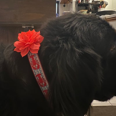 Grey Alabama Elephant Roll Tide Dog Collar - Etsy