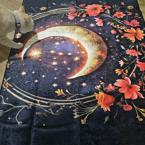 Celestial Moth Moon Rug, Neon Gothic Butterfly Area Rug, Psychedelic ...