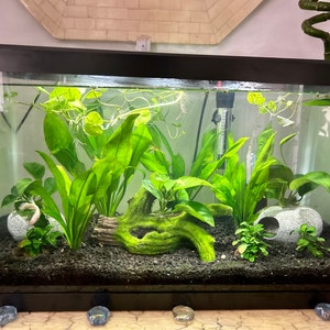 4 Fish Tank Decal Stickers Aquarium Gifts Laptop Hobby Vinyl - Etsy