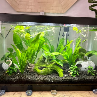 4 Fish Tank Decal Stickers Aquarium Gifts Laptop Hobby Vinyl - Etsy