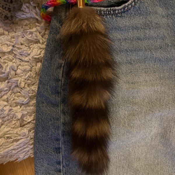 Genuine Finland Raccoon Large Size Hunting Animal Pelt Fluffy Soft ...