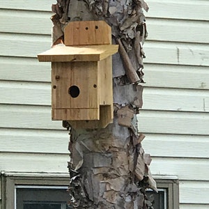 Chickadee Winter Roosting Box. - Etsy