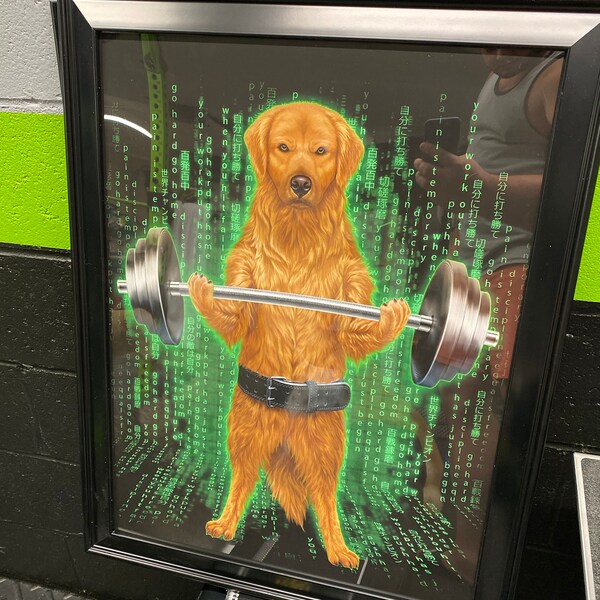 Bison Buffalo Bull as Boxing Champion Boxer MMA - Poster Print, Wall ...