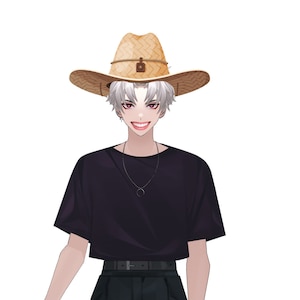 Premade Vtuber Color Customizable, 6 Toggle Switches, 7 Cute Emotes ...