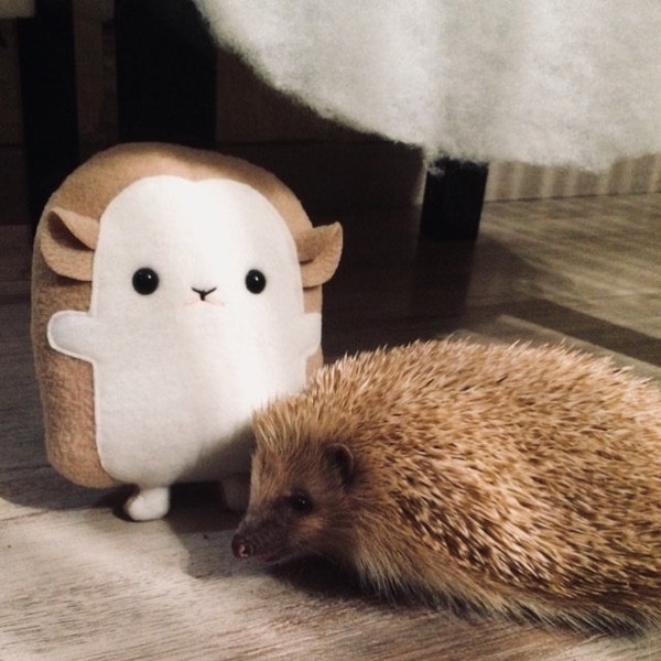 Hedgehog Stuffed Animal, Cute Hedgehog Plush Doll, Kawaii Hedge Hog ...