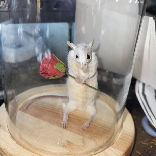 MADE TO ORDER: Mouse Rug - Etsy