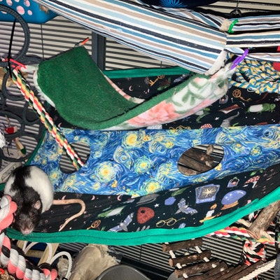 Rat Fall Breaker, Rat Fall Safe, Rat Cage Hammock, Rat Cage, fall ...