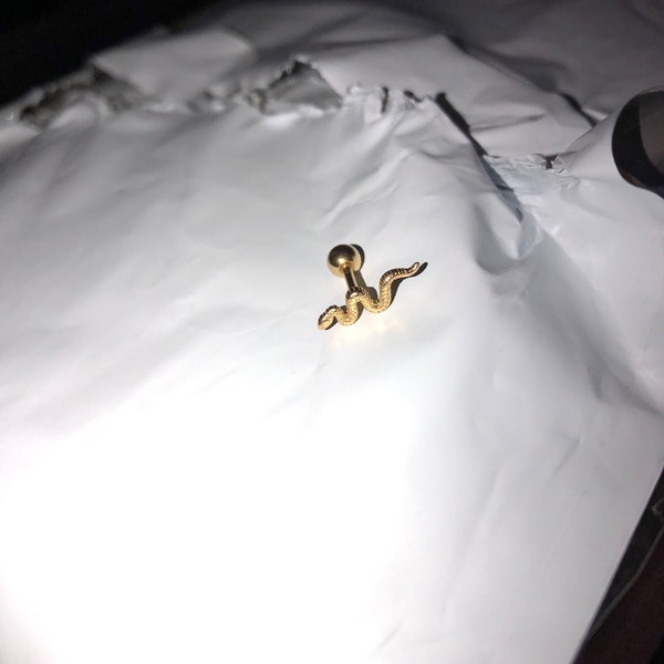 Mini Snake Ear Piercing, 16G Cartilage Earring, Helix Earring, Tragus ...