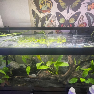 20 Gallon Long Reversible Polycarbonate Aquarium Lid. Tank NOT Included ...