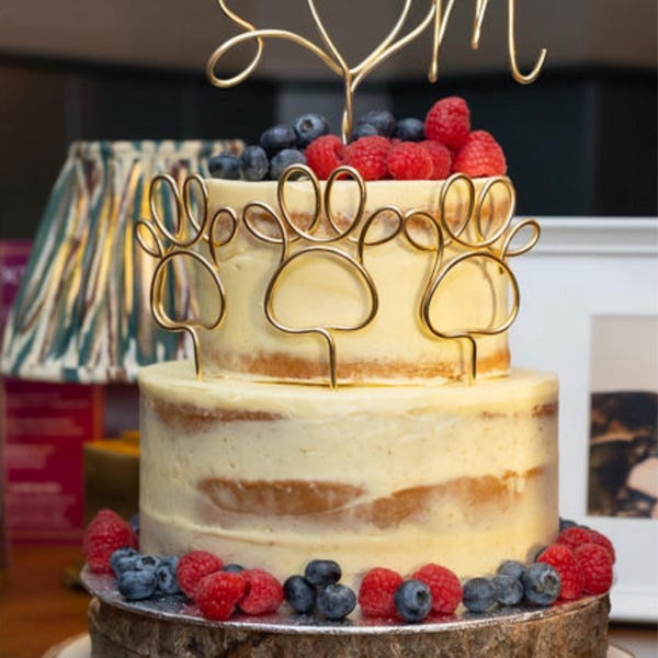 Roar Lettering - Dinosaur Feet - Footprints - Dino - Wire Words - Wall ...