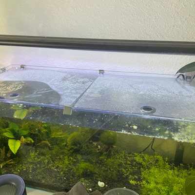 10 Gallon Aquarium Lid Reversible for Hang on Back Filters Clear ...