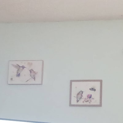 BUMBLEBEE and HUMMINGBIRD Watercolor Print by Dean Crouser - Etsy