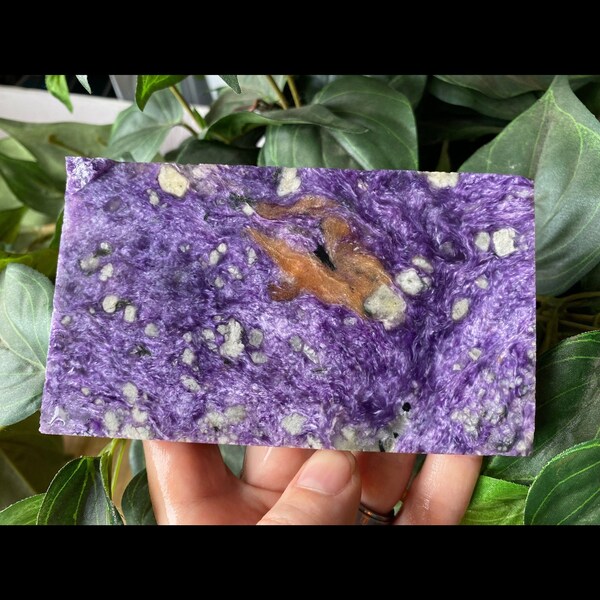 Agua Nueva Agate Stone Rough Lapidary Slab Rough Slice 233 Grams ...