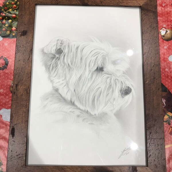 ORIGINAL Lion Pencil Drawing by Jason Bodell A2 Lion Portrait, Fine Art ...