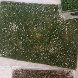 Sumac Laser Cut Scale 1 32 / 1:35 Diorama VG3-018 - Etsy