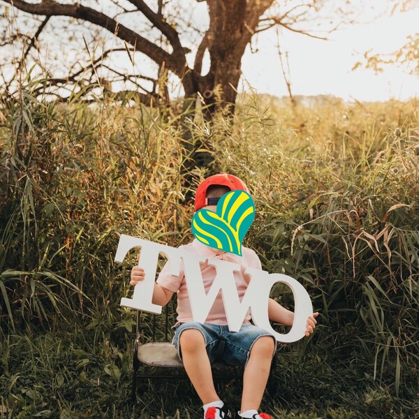 Two Sign Photo Prop - 2nd Birthday Sign "two" in Custom Colors, Second ...