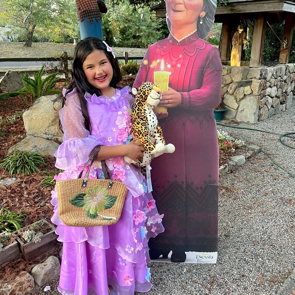 Handmade - Cosplay Isabela Dress, Isabela Encanto Dress, Encanto ...