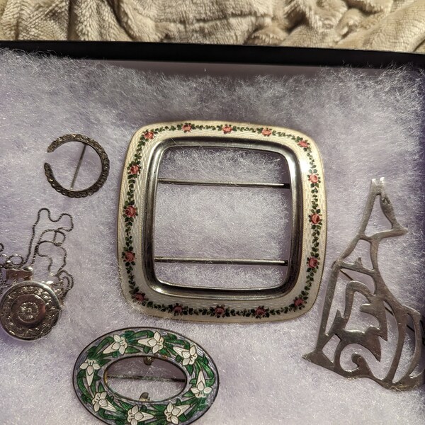 Antique 1880's Chromolithograph Print From Jacob Studer's Ornithology ...