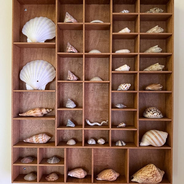 Shadow Box Wooden Display Shelf - Wall Cubby Shelf - Multiple ...