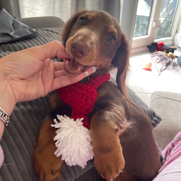 Christmas Dog Scarf With Pompom - Available in 4 Colour Schemes - Santa ...