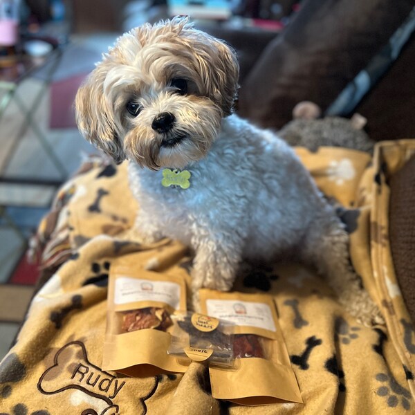Bison Heart Dog Treats, Dehydrated Bison Heart for Dogs, Bison Organs ...