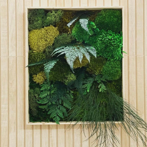 Prefleur DIY B Crafts Assorted Moss Kit Mixed Preserved Stabilized Moss ...