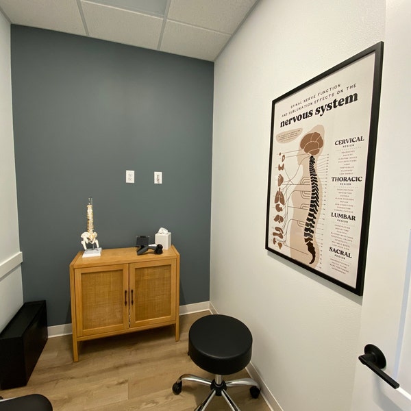 Chiropractic ANS Chart + Nervous System Poster | Subluxation Effects - Etsy