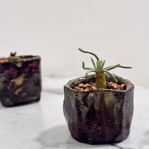 Raku Pottery Ceramic Dark Grey Bird Figurine With White Throat and ...