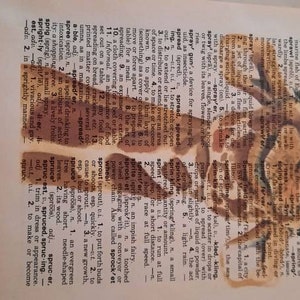 Set of 6 Frog Themed Dictionary Prints - Etsy