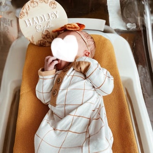 Baby Chick Countdown Incubator How Many Days Chicken Hatch - Etsy