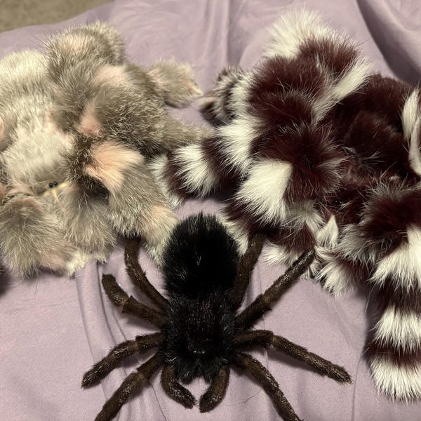 Leopard Tarantula Faux Taxidermy Oddity Soft Mount Spider Fake Insect ...