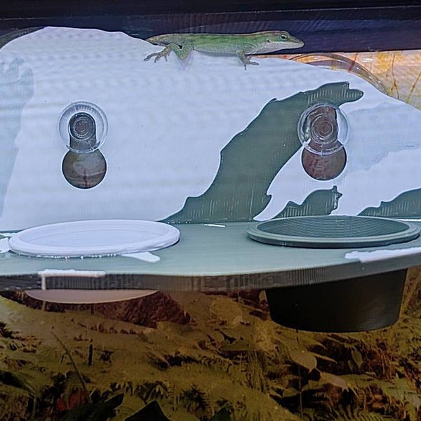 Pink Princess Philodendron Ledge for 0.5oz Deli Cup | Crested Gecko ...