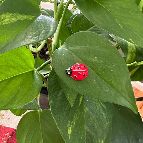 Cloud Shaped Rainbow Window Clings. Prism and Light Bending. Unique ...
