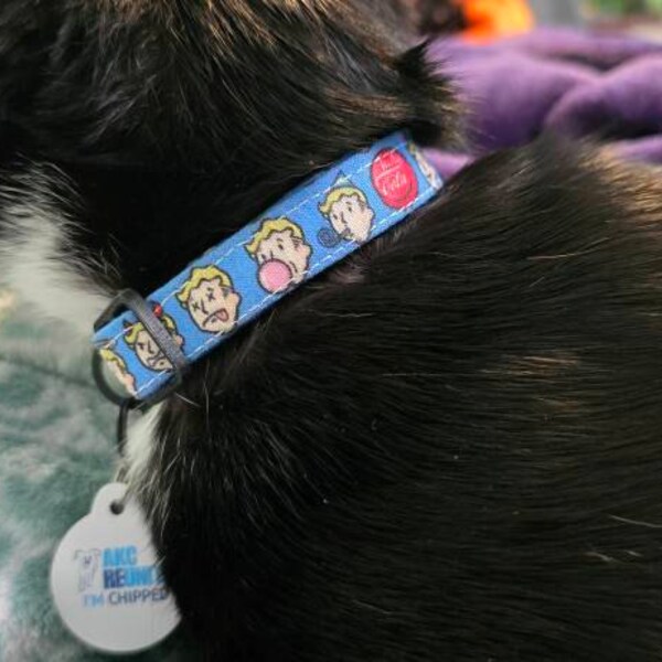 My Chemical Romance Band Dog Collar 2.0 - Etsy