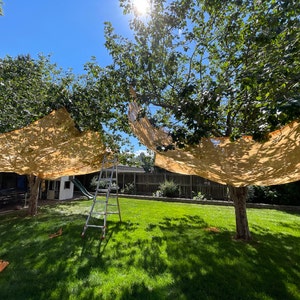 20x20’ Fruit Tree Catcher - Etsy